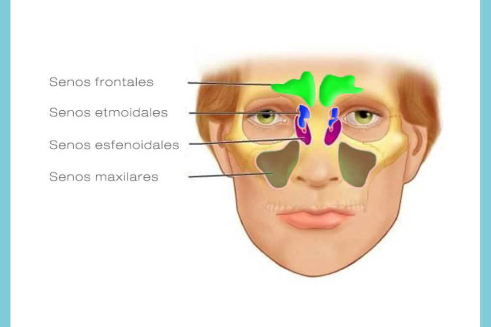 cirugía endoscopica de cavidades perinasales